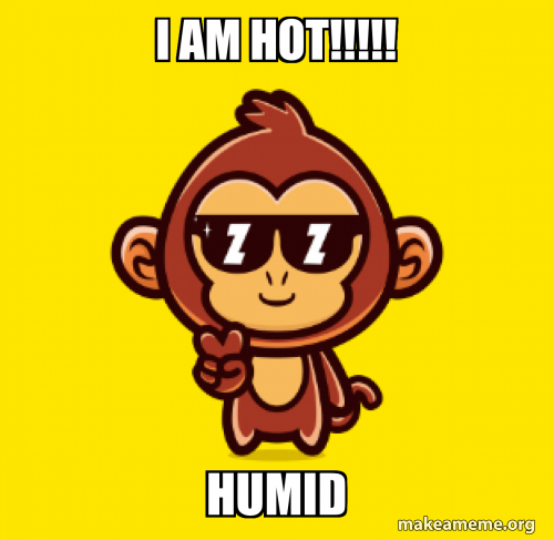 i am hot!!!!! humid - #monkey mem Meme Generator