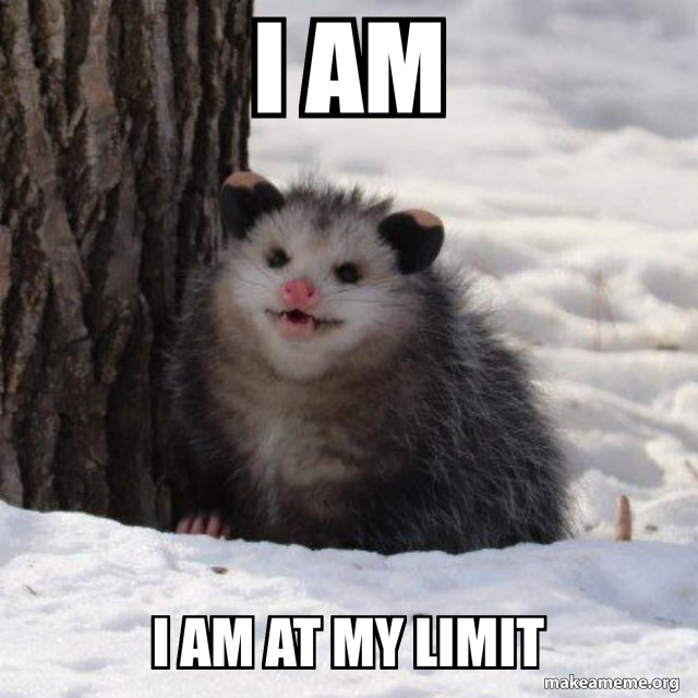 i am i am at my limit Meme Generator