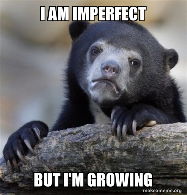 Imperfections Memes