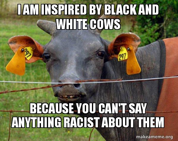 i am inspired by black and white cows because you can't say anything ...