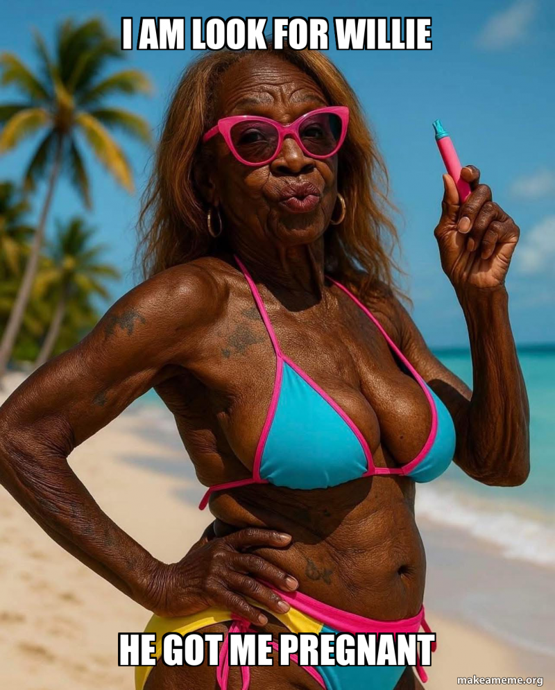 I am look for Willie He got me pregnant Meme Generator