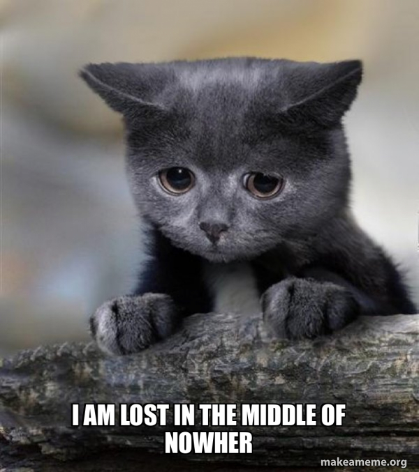 i am lost in the middle of nowher - Confession Cat Meme Generator