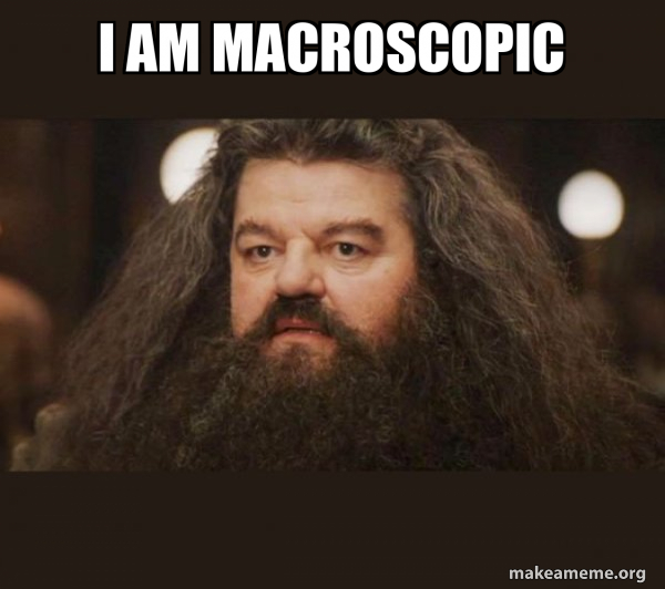 i am macroscopic - Hagrid - I should not have said that Meme Generator