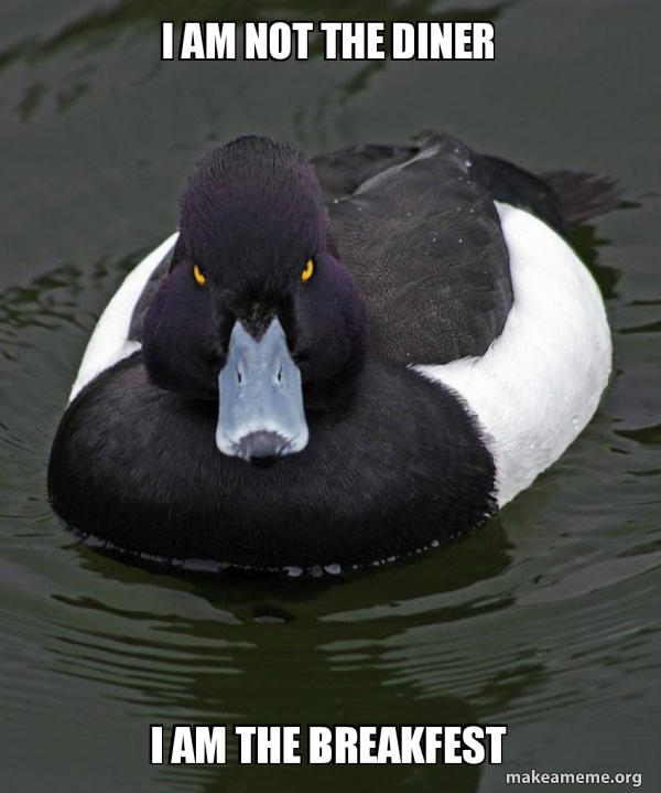 i am not the diner i am the breakfest - Revenge Duck ( Angry Advice ...