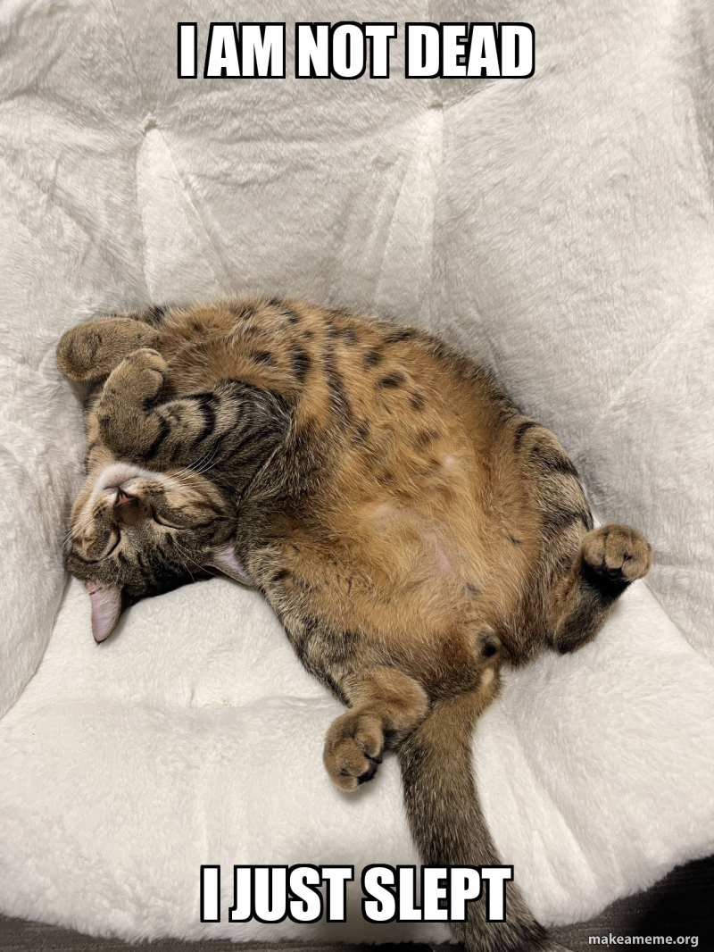 I am not dead I just slept Meme Generator