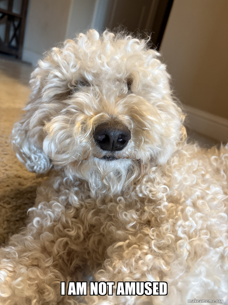 I am not amused Meme Generator