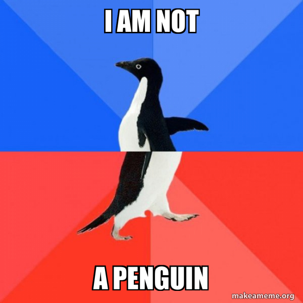 I am not a penguin - Socially Awkward Awesome Penguin Meme Generator