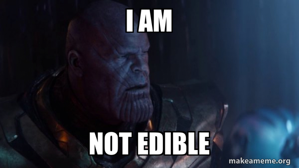 I am Not edible - Thanos - Impossible Meme Generator