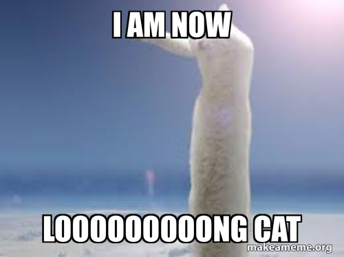 i am now looooooooong cat Meme Generator