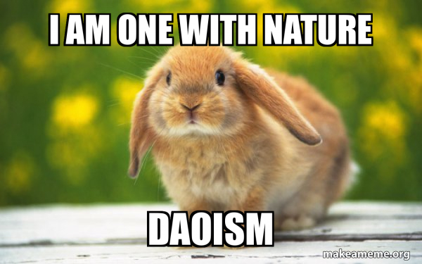 I am one with nature Daoism - Regretful Rabbit Meme Generator