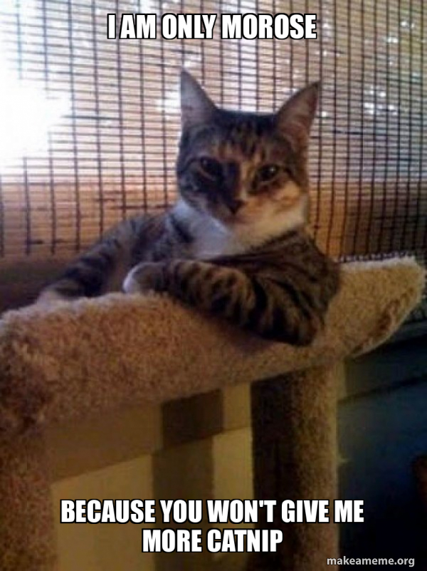 I am only morose because you won't give me more catnip - The Most ...