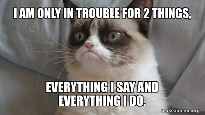 I am only in trouble for 2 things, Everything i say and everything i do ...