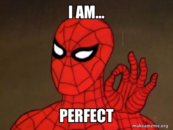 I am... PERFECT - Spiderman - Care factor Zero Meme Generator