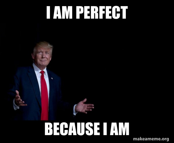 I am perfect Because I am - Trump Everything is FIne | Make a Meme