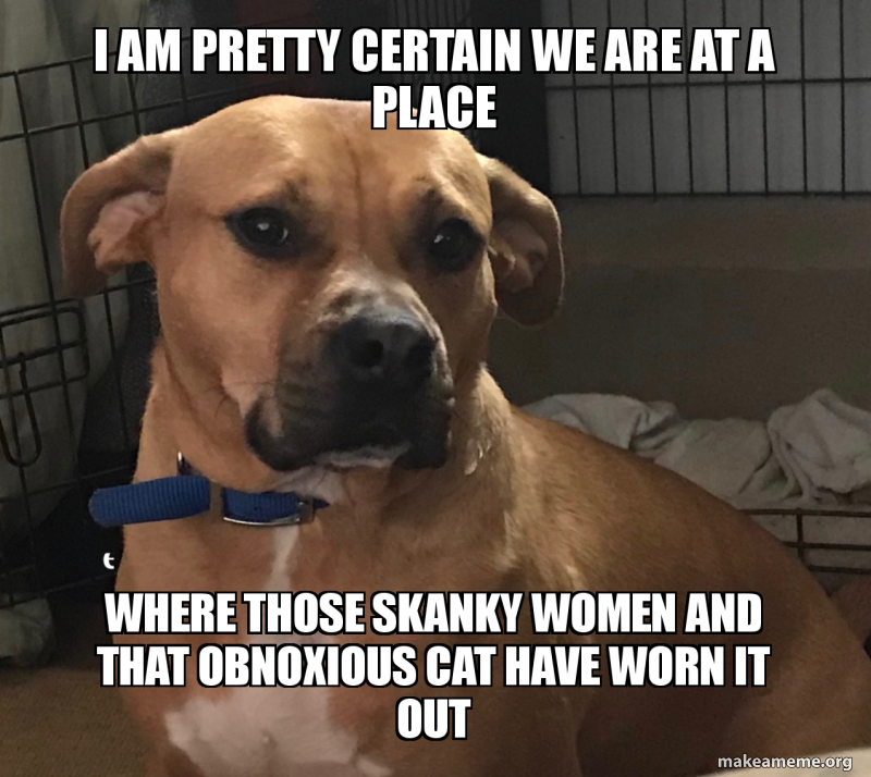 I am pretty certain we are at a place where those skanky women and that ...