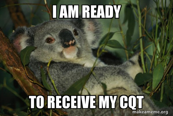 I am ready to receive my CQT - Laid Back Koala Meme Generator