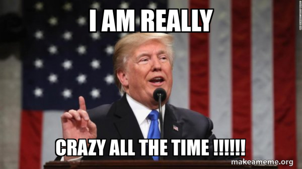 I am Really CRAZY ALL THE TIME !!!!!! - Donald Trump Meme Generator