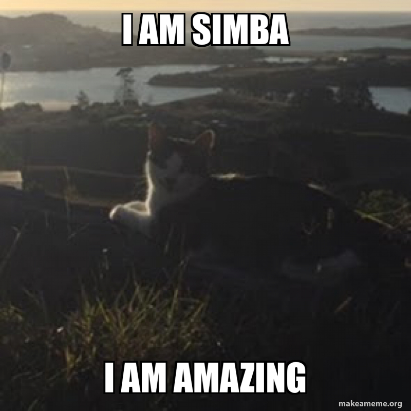 i am simba i am amazing Meme Generator