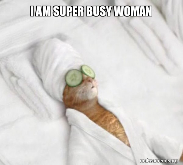 I AM SUPER BUSY WOMAN - Pampered Cat Meme Meme Generator