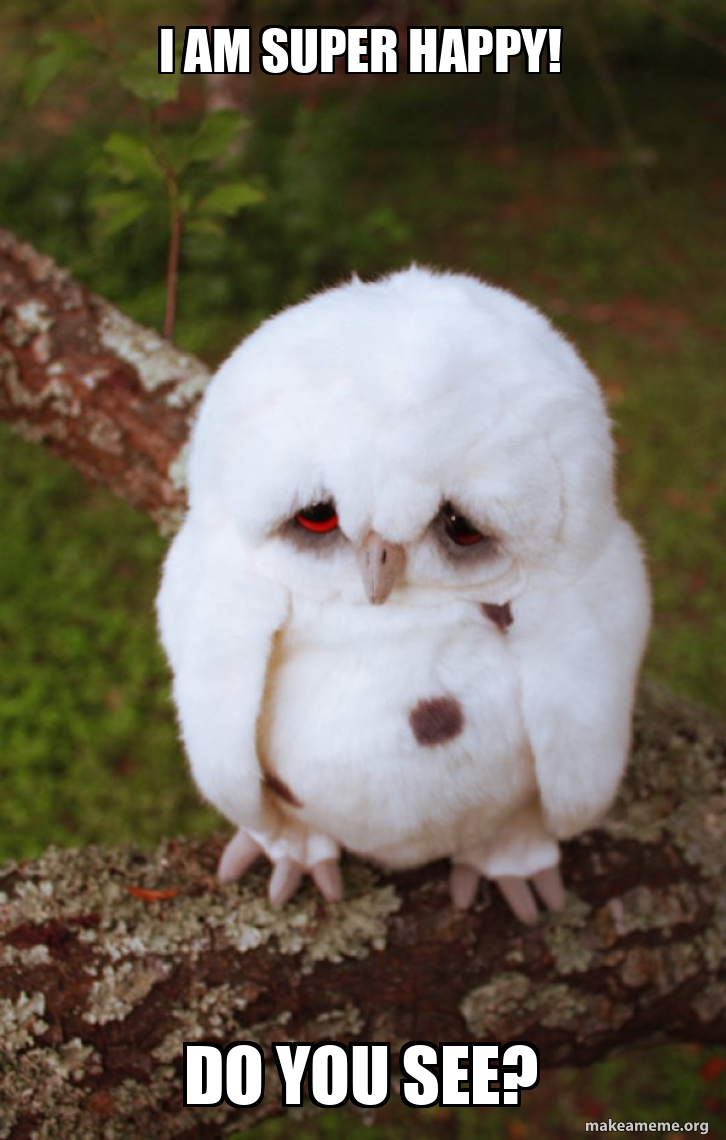 i am super happy! do you see? - Sad Owl Meme Generator