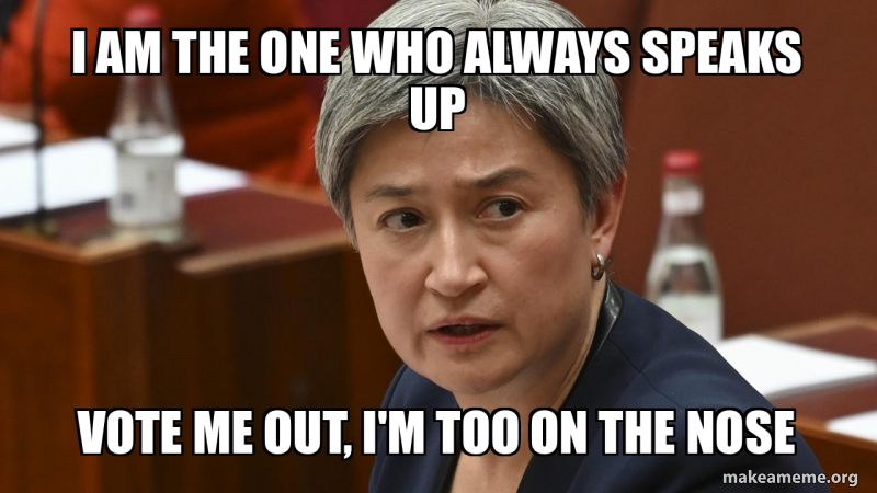 I AM THE ONE WHO ALWAYS SPEAKS UP VOTE ME OUT, I'M TOO ON THE NOSE Meme ...