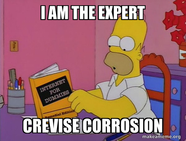 I am the expert Crevise Corrosion - Internets Homer Meme Generator