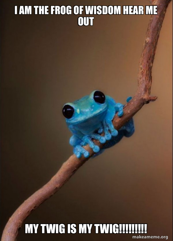 I am the frog of wisdom hear me out MY TWIG IS MY TWIG!!!!!!!!! - Small ...