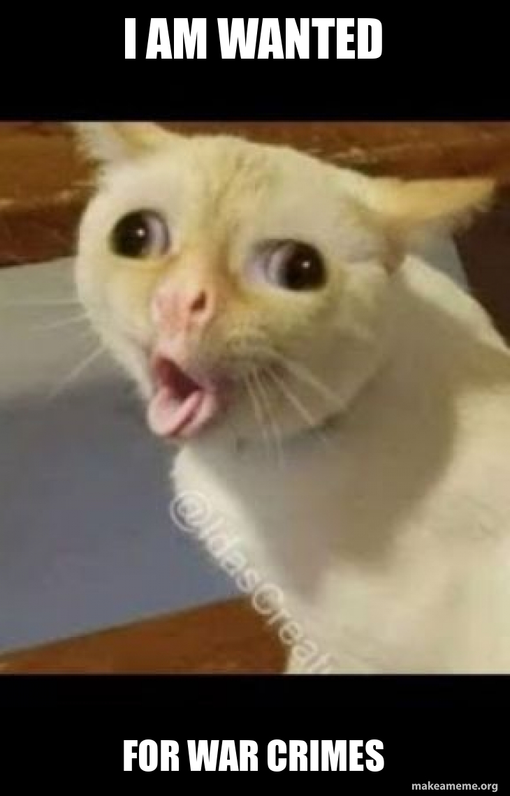 i am wanted for war crimes Meme Generator