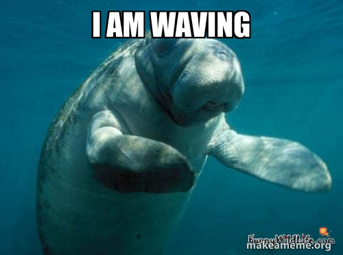 i am waving Meme Generator