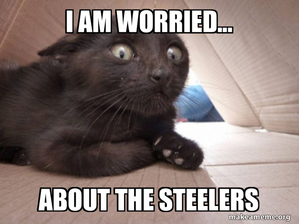 I am worried... About the Steelers - Schitzo Cat Meme Generator