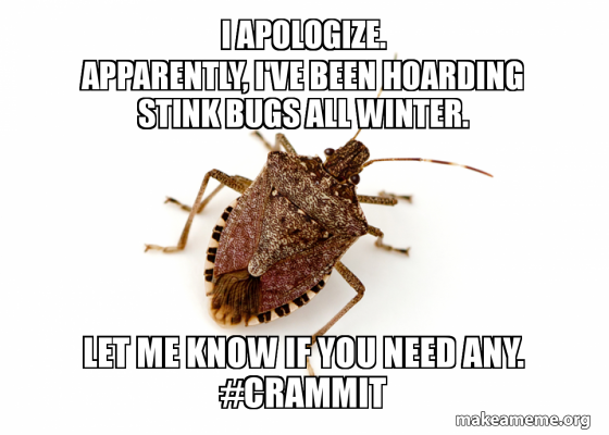 I apologize. Apparently, I've been hoarding stink bugs all winter. let ...