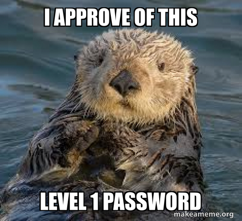 I approve of this Level 1 password Meme Generator