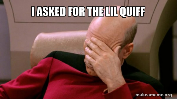 I asked for the Lil Quiff - Picard Facepalm Meme Generator