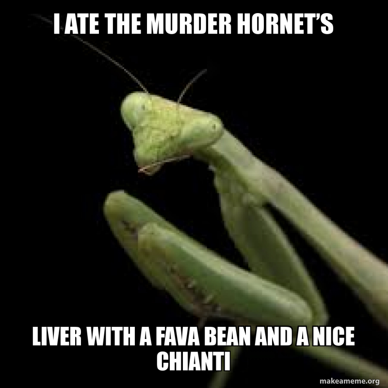 I ate the murder hornetâ€™s Liver with a fava bean and a nice chianti ...