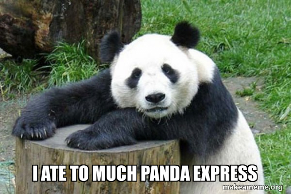 i ate to much panda express - Confession Panda Meme Generator