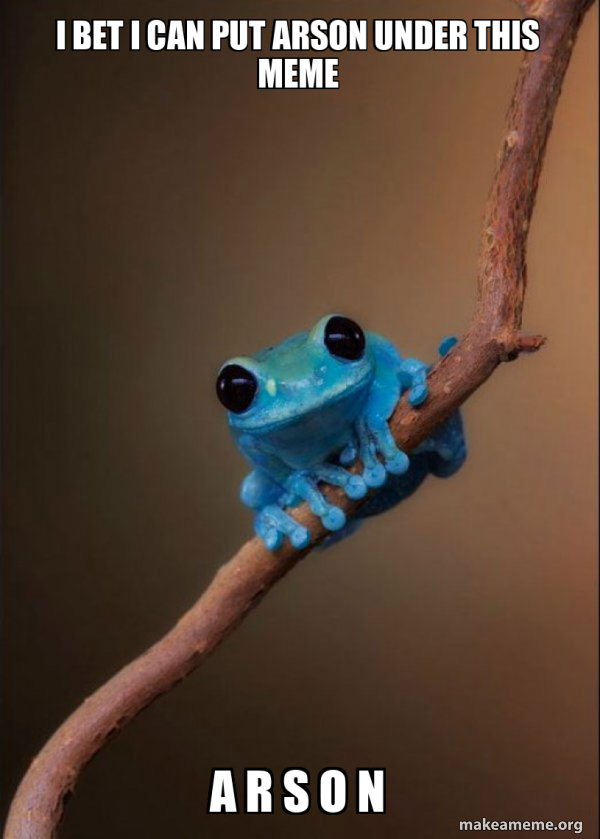 i bet i can put arson under this meme A R S O N - Small Fact Frog Meme Generator