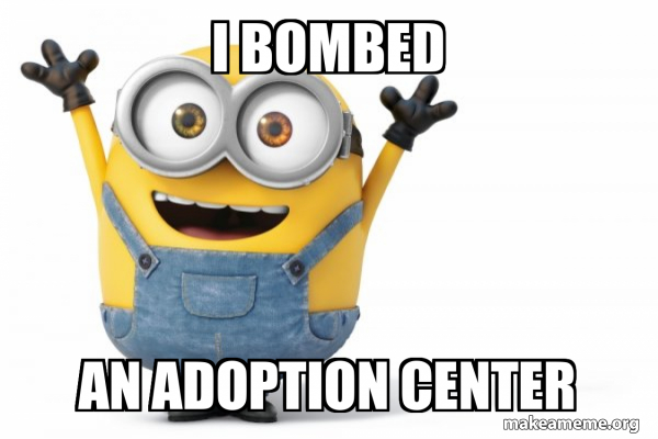 I Bombed An adoption center - Happy Minion Meme Generator