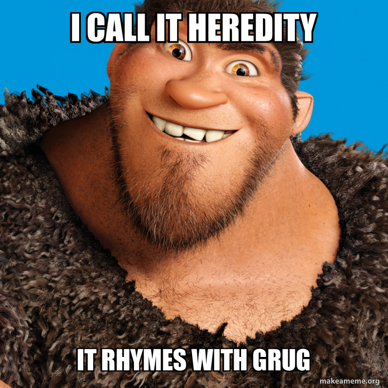 I call it Heredity It rhymes with Grug Meme Generator