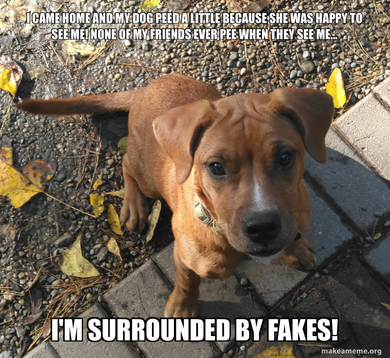 i came home and my dog peed a little because she was happy to see me ...