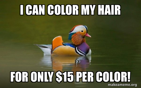 I can color my hair for only $15 per color! - Fashionable Advice ...