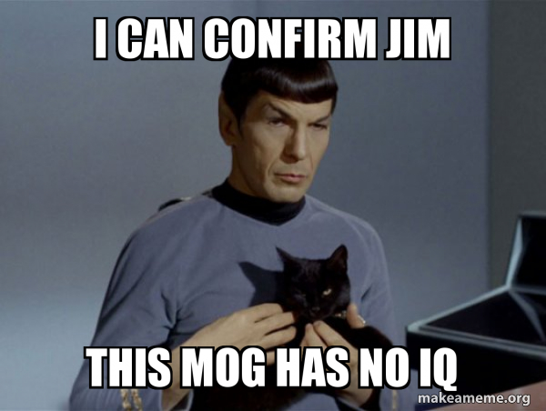 I can confirm Jim This MOG has no IQ - Spock and Cat Meme Meme Generator