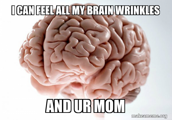 i can feel all my brain wrinkles and ur mom - Scumbag Brain Meme Generator