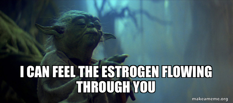 I can feel the estrogen flowing through you Meme Generator