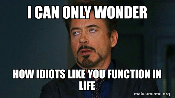 I can only wonder how idiots like you function in life - Tony Stark Eye ...