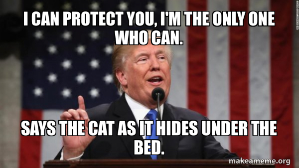 I can protect you, I'm the only one who can. Says the cat as it hides ...