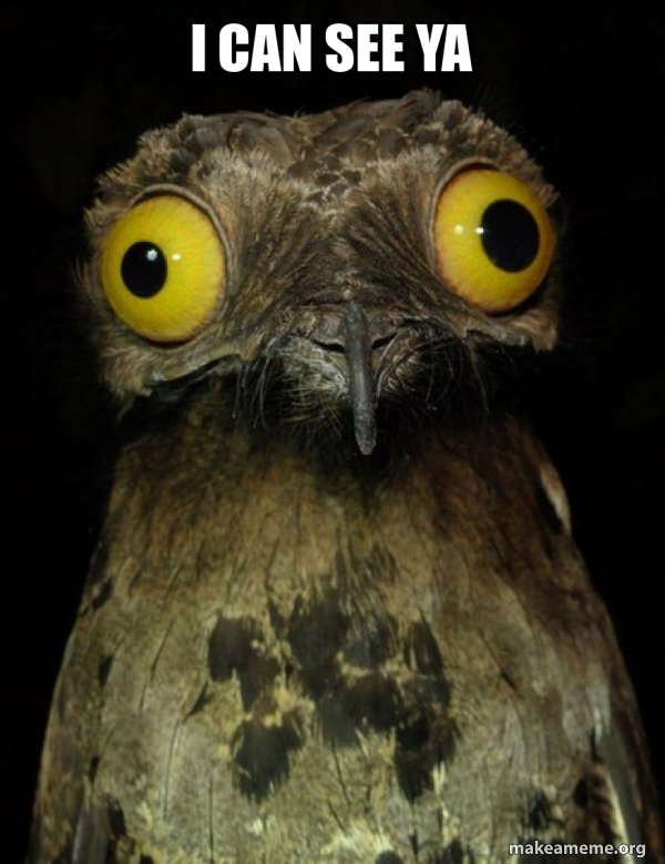 I can see ya - Weird Stuff I do Potoo Meme Generator