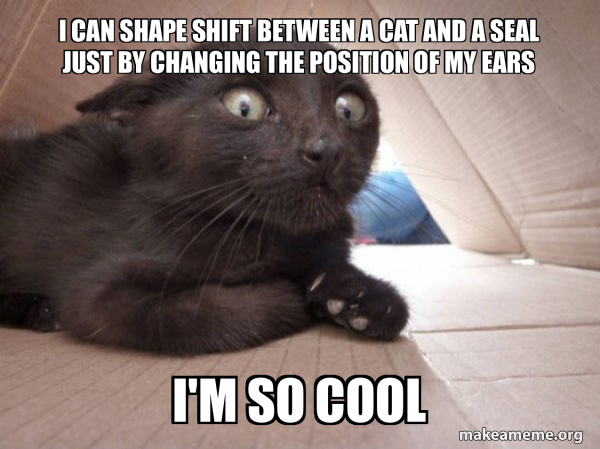 i can shape shift between a cat and a seal just by changing the ...