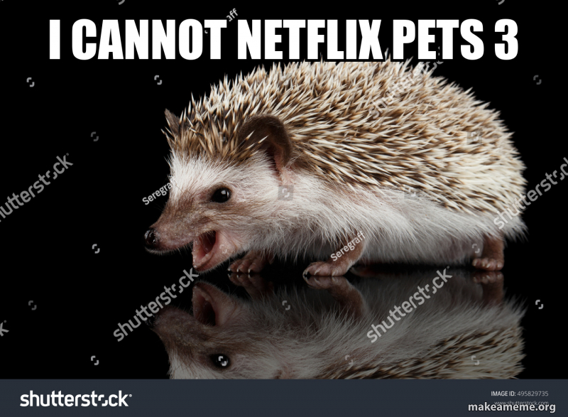I cannot Netflix Pets 3 Meme Generator