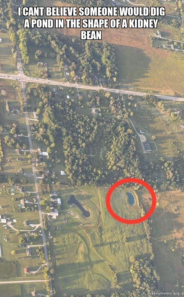 I cant believe someone would dig a pond in the shape of a kidney bean ...