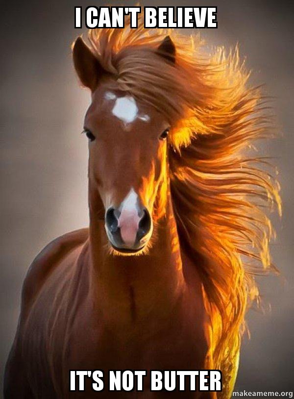 I can't believe it's not butter - Ridiculously photogenic horse Meme ...